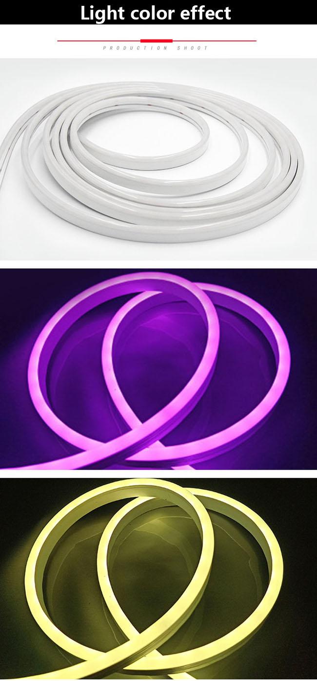 Close-up of LED Neon Rope Light construction