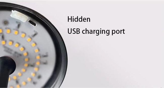 LED desk lamp showing Type-C charging port