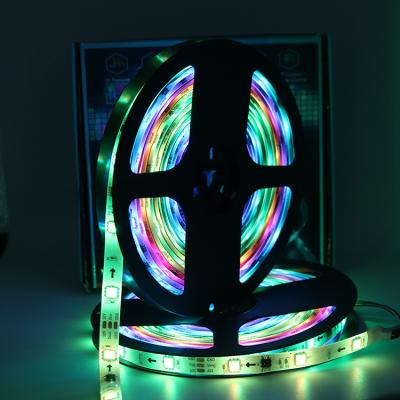 China DC12V App Remote Rgb Rgbic Led Light Strip Light Waterproof Programmable for sale