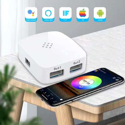 Cina DC12V work with Alexa google assistance App and remote rgb rgbic addressable waterproof programmable wifi smart led light strip in vendita