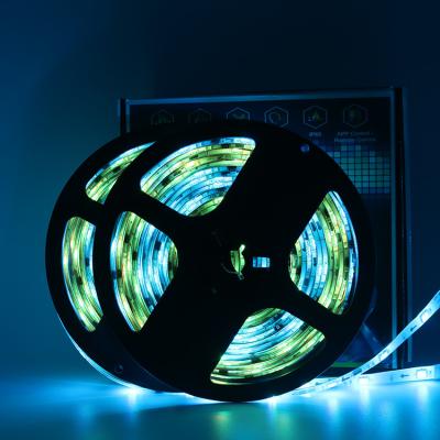 Cina DC12V work with Alexa google assistance App and remote rgb rgbic addressable waterproof programmable wifi smart led light strip in vendita