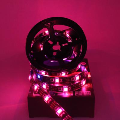 Cina C02 magic tv usb flexible color changing smart app 5050 smart rgb waterproof Led strip lights in vendita