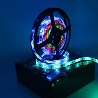 Cina il pixel al neon indirizzabile flessibile 5050 Ws2812b Rgb di 5v Digital ha condotto le lampade fluorescenti in vendita