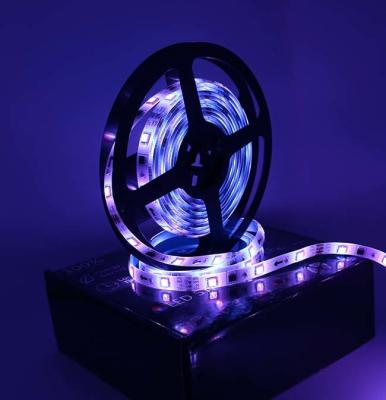Cina il pixel al neon indirizzabile flessibile 5050 Ws2812b Rgb di 5v Digital ha condotto le lampade fluorescenti in vendita