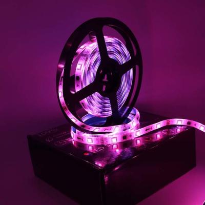 Cina il pixel al neon indirizzabile flessibile 5050 Ws2812b Rgb di 5v Digital ha condotto le lampade fluorescenti in vendita