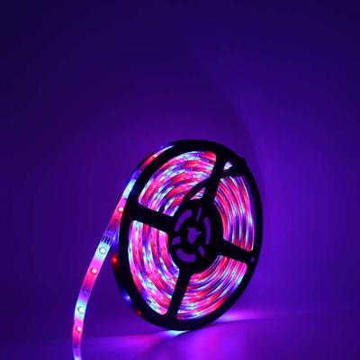Cina luce di striscia principale impermeabile flessibile programmabile di 5/10/15m 60leds/M Dreamcolor Smart Dynamic Rgbic Rgb in vendita