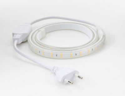 China 220V IP67 SMD 2835 High Voltage LED Strip 120 LEDs/M 2 Rows 9W/M for sale