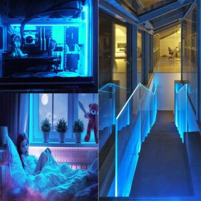 Cina 12V 240LEDS SMD 2835 LED Strip Light 1200LEDs 16.4Ft Non impermeabile Colori Rosso Verde Blu Arancio Per Bar in vendita