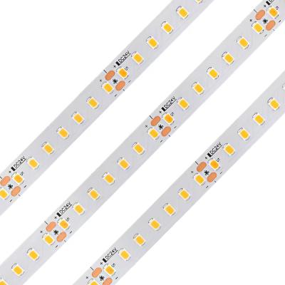 Cina Alta CRI 98 Lungo spettro 120 leds/M Dc24v 10mm 120led Smd 2835 Decorazione interna in vendita