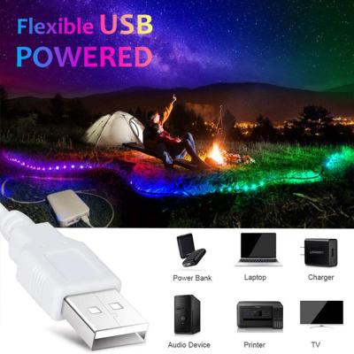 Cina Smart LED Strip per la decorazione 12V 5V Controllo USB Sincronizzazione musicale e temperatura del colore RGB in vendita