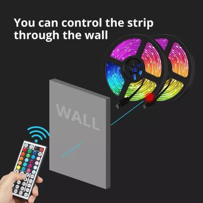 Cina Illuminazione duratura impermeabile IP65 30d/m 5050 RGB LED Light Strips con telecomando in vendita
