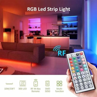 Cina Illuminazione duratura impermeabile IP65 30d/m 5050 RGB LED Light Strips con telecomando in vendita