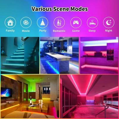 Cina Illuminazione duratura impermeabile IP65 30d/m 5050 RGB LED Light Strips con telecomando in vendita