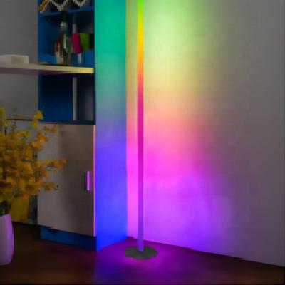 China Modern Design Custom Atmosphere Smart Home Light Rgb Led Floor Lamp voor hotel slaapkamer Te koop