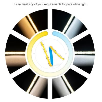 Cina Strip LED COB dimmabile 12V 24V W WW 2700K 6000K per luminaria per gabinetti 5M 16.4ft Long in vendita