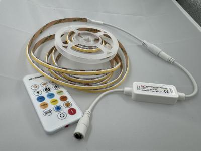 Cina Kit di strisce a LED a tensione di ingresso DC12V/24V con luci COB dimmabili e driver intelligente in vendita