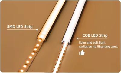 Cina Fornitura flessibile digitale RGB COB LED Strip Light con 50000 ore di tempo di lavoro e 3- in vendita