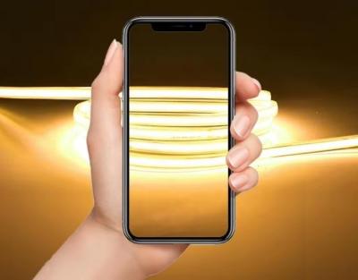 Cina Luce a striscia ad alta tensione a LED con connettore e CRI Ra 80 70-80 lm/W Lampada Efficienza luminosa in vendita
