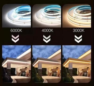 Cina Luce a striscia ad alta tensione a LED con connettore e CRI Ra 80 70-80 lm/W Lampada Efficienza luminosa in vendita