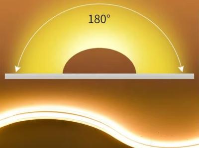 Cina Alta tensione all'aperto Flessibile COB LED Strip Light 288leds Fonte di luce LED 220V 110V 800lm in vendita