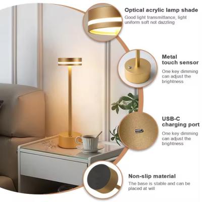 China Atmosphere Led Desktop Light 5V USB Rechargeable LED Table Light With Brightness Control for sale