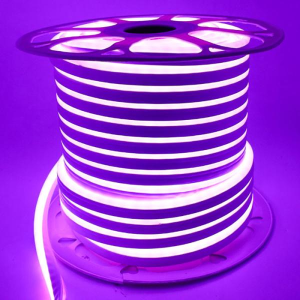 Quality Flexible Led Neon Light Rgb OutdoorWaterproof Cuttable LED Lights Strip Roll for sale