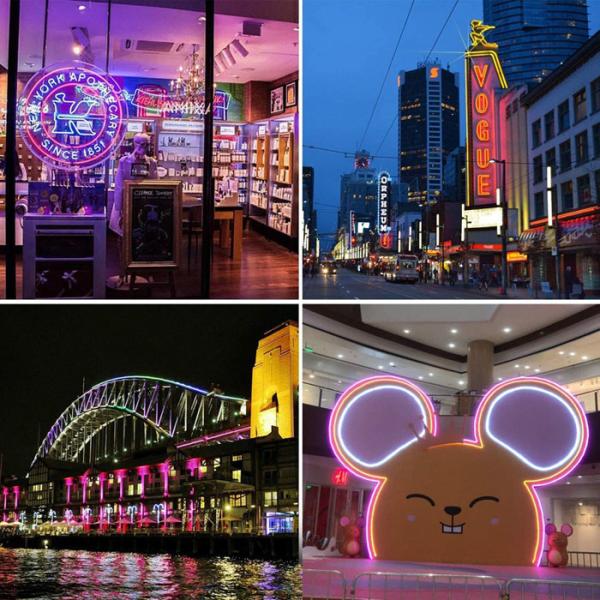 Quality Flexible Led Neon Light Tube 12w/M Ip67 Addressable LED Neon Strip for sale