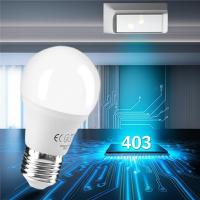 China 403 Status Code Openresty Server and Indoor Motion Sensor Light Bulb for Smart Home Lighting for sale