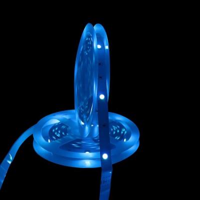 Cina Strisce della luce di IP20 13W DC12V 6M Outdoor LED in vendita