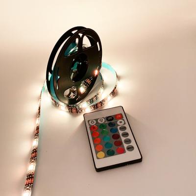 China a venda quente china12v 5m smd5050 ip65 impermeável rgb conduziu luzes de tira com controlador remoto à venda