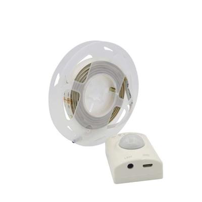 Cina lampade fluorescenti di 3000K 2.4W 1M LED sotto il letto in vendita