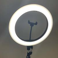 China Live Streaming 60W 19 Inch LED Selfie Ring Light for sale