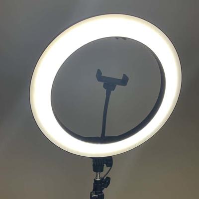 Cina Live Streaming 60W LED a 19 pollici Selfie Ring Light in vendita