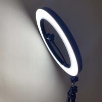 China SMD2835 6000K 10inch Dimmable LED Ring Light for sale