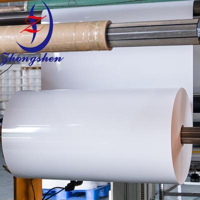 China Geautomatiseerde transportband voor pluimveemest 1,0 ∼ 1,3 mm voor kippenkooien for sale