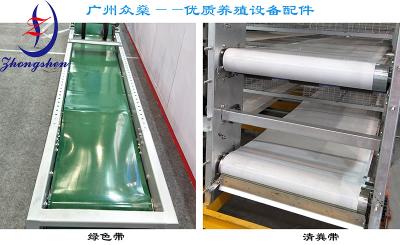 Cina Sistema di rimozione del letame per allevamenti di pollame in vendita