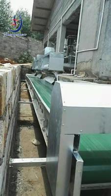 Cina Rimozione del letame Cintura trasportatrice in PVC verde da 1 mm a 6 mm per allevamenti di pollame in vendita