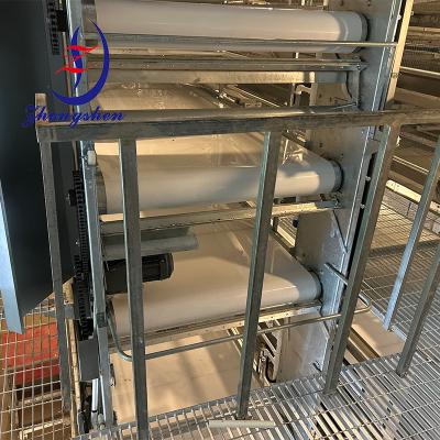 China PP Kippenmestband Pluimveebedrijf Automatische Mestverwijdering Mesttape Te koop