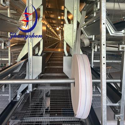 Cina Cintura trasportatrice di uova in PP resistente per allevamenti di pollame automatizzati in vendita