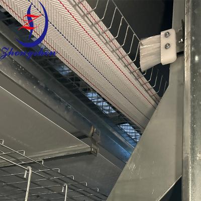 Cina Cintura di raccolta di uova ad alta resistenza Zhongshen per sistemi a gabbia a strati in vendita