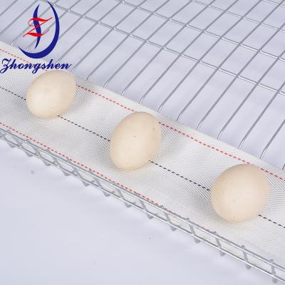 중국 중선 프리미엄 나일론 계란 컨베이어 벨트 PP2, 양계장 판매용