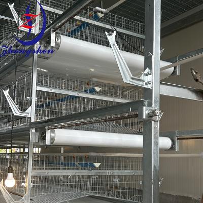 中国 チョングシェン家禽糞便輸送ベルト 鶏糞便浄化システム 販売のため