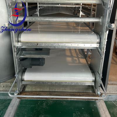 中国 家禽糞尿コンベアベルト 0.5M-2.5M 幅 PP/PE 素材 販売のため