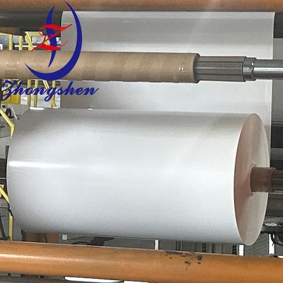 中国 Zhongshen PP肥料除去帯 鶏飼料肥料輸送帯工場 販売のため