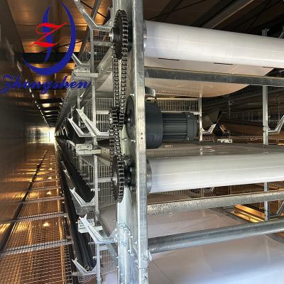 中国 Zhongshen PP/PE肥料輸送ベルト 中国の最高の家禽肥料ベルトメーカー 販売のため