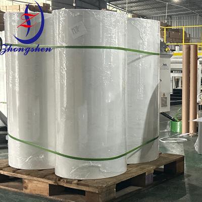 中国 養鶏場用中申堆肥ベルト - 16年間堆肥ベルトのトップサプライヤー 販売のため