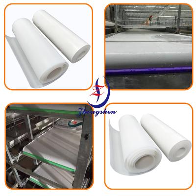 China Chicken Coop PP material Manure Conveyor Belt for Poultry Chicken Cage for sale