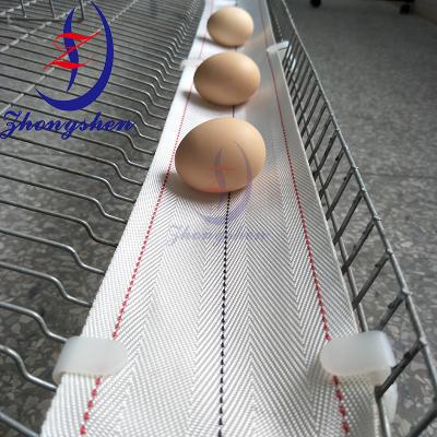 China Zhongshen High Quality Nylon Egg Collection Belt For Poultry Layer Farm for sale