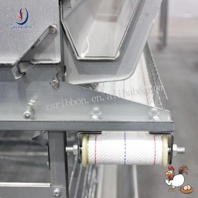 China Customized Size Polypropylene Egg Conveyor Belt with Low Egg Broken Rate for Poultry Farms for sale