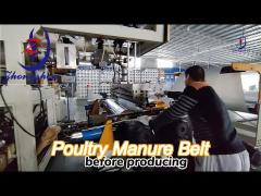 High Purity PP Manure Belt Deformation Resistant For Poultry Waste Removal